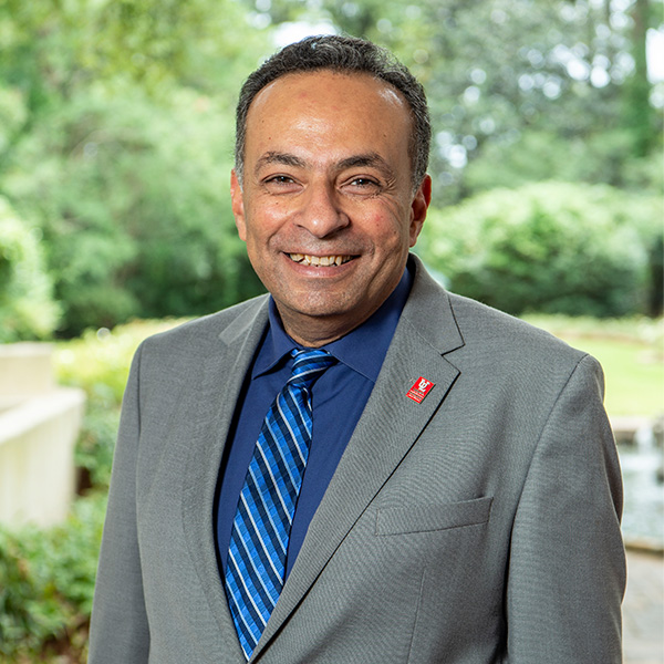 Emad Habib | University of Louisiana at Lafayette