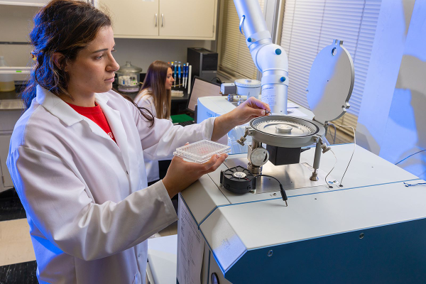 Scientist’s fossil, wood studies stretch from Siberia to second-story porches | University of ...